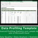 Simple Data Profiling Spreadsheet, Analysis, Data Quality, Stats, Microsoft Excel - Etsy