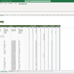 Simple Data Profiling Spreadsheet, Analysis, Data Quality, Stats, Microsoft Excel - Etsy