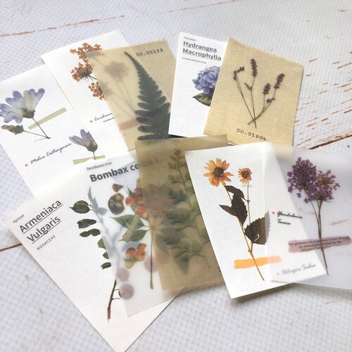 Mini Botanical Collage Paper Set/ Vintage Style Cards/ Floral - Etsy