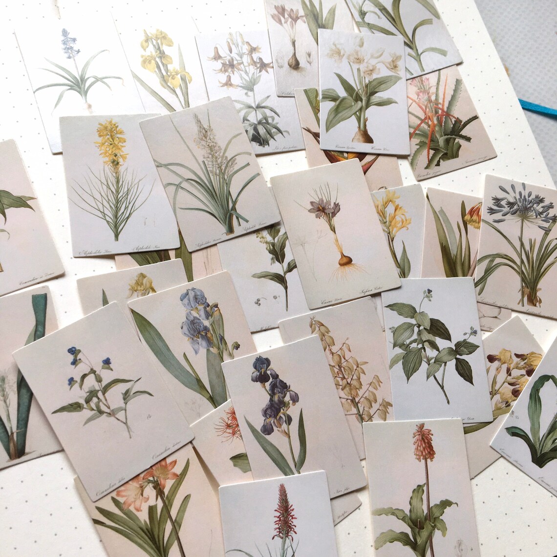Mini Botanical Collage Paper Set/ Vintage Style Cards/ Floral | Etsy