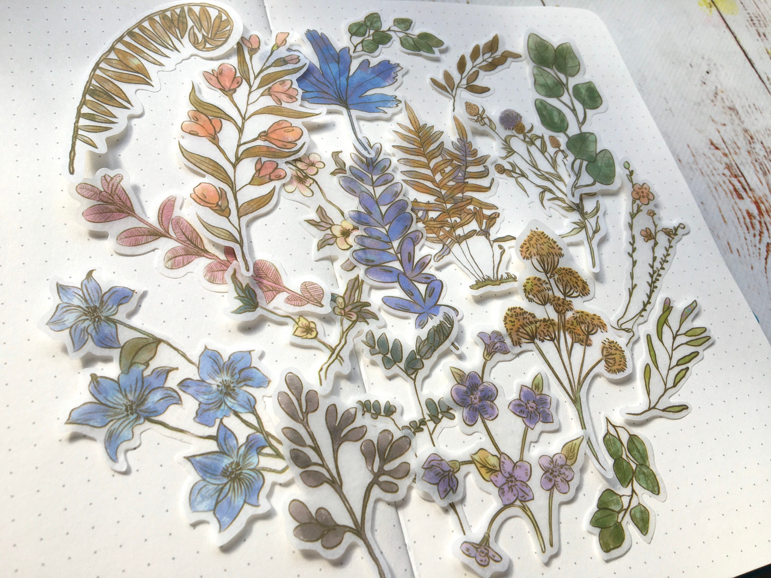 Paper 5 Botanical Stickers Botanical Boho Floral Designed Sticker Pack ...