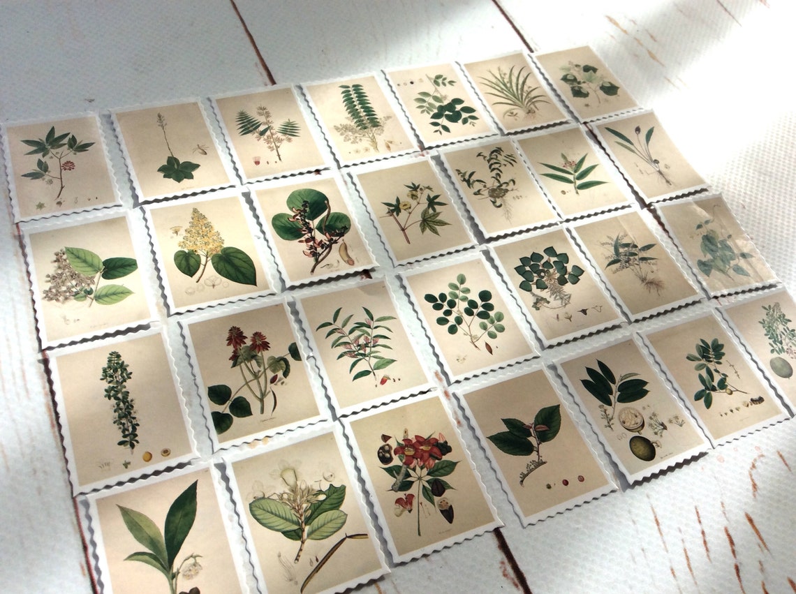 Botanical Stamp Stickers/ Floral Scrapbooking Stamps/ Floral | Etsy