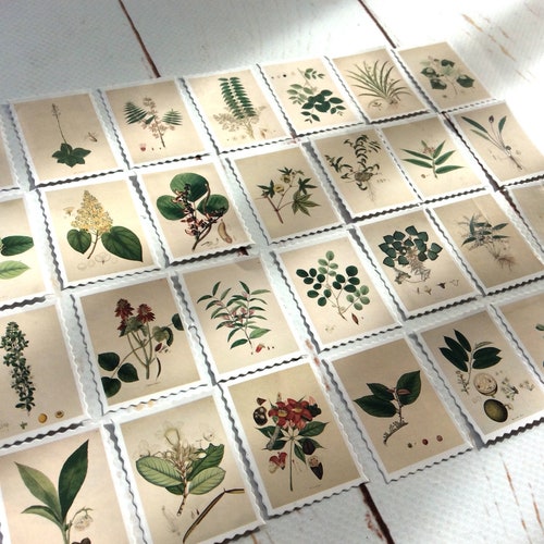 Botanical Stamp Stickers/ Wild Flowers Scrapbooking Stamps/ - Etsy