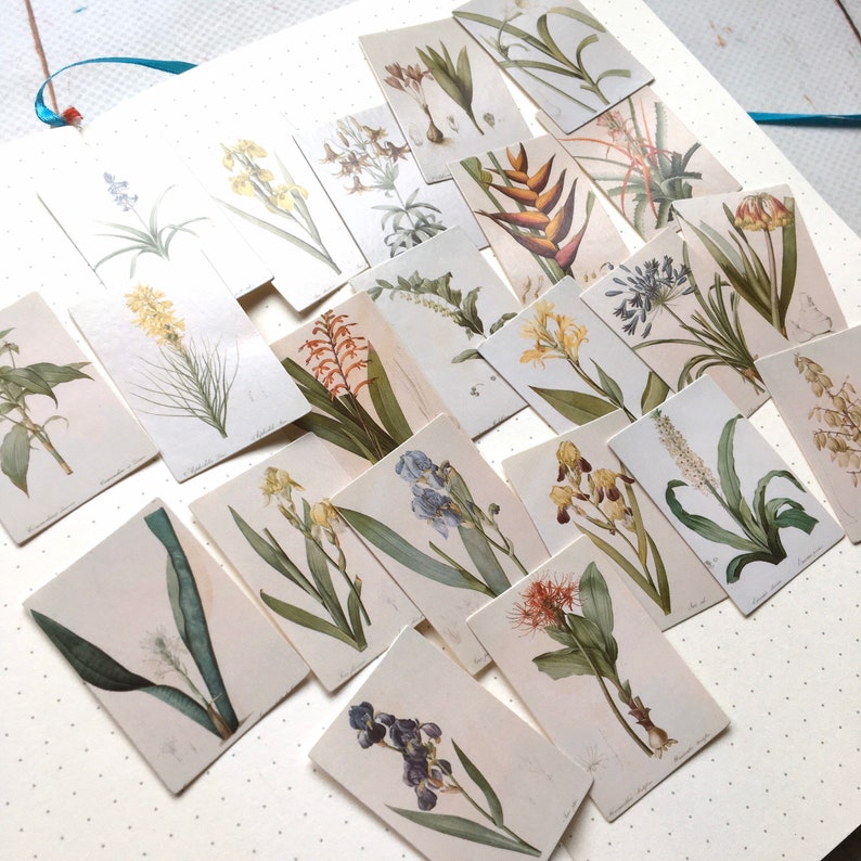 Mini Botanical Collage Paper Set/ Vintage Style Cards/ Floral | Etsy