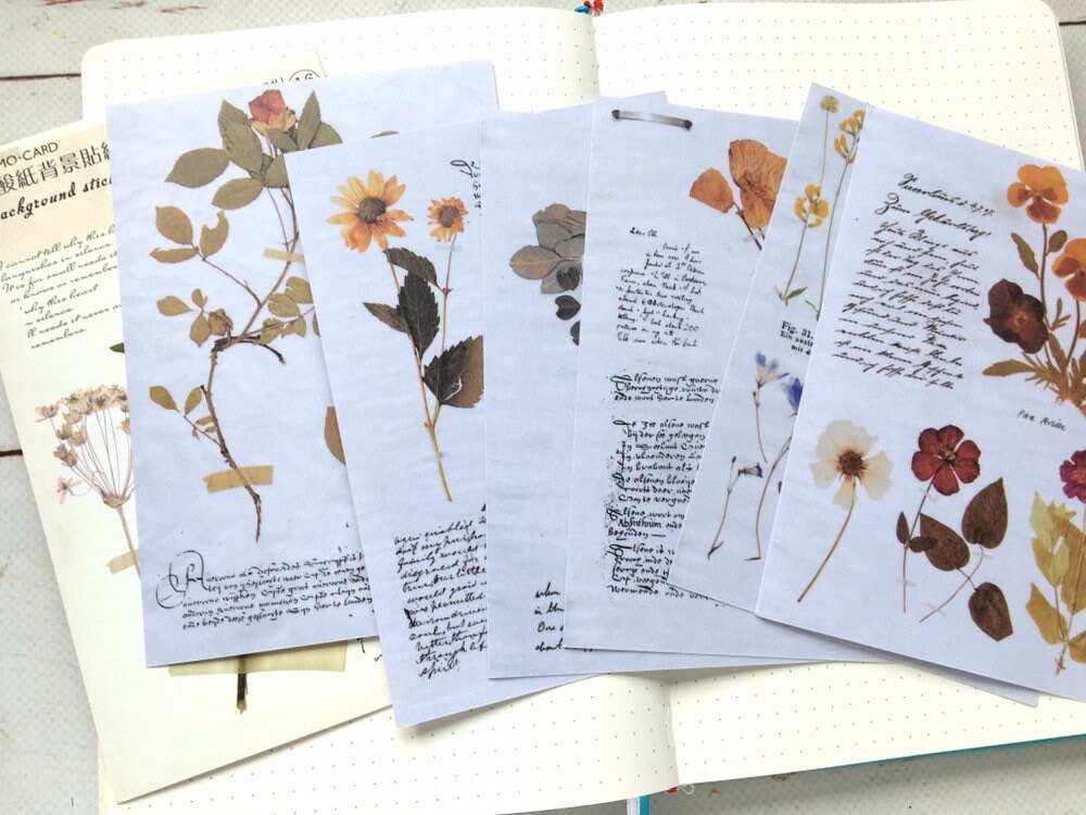 Collage Botanical Vintage Sticker Set/ Floral Planner | Etsy