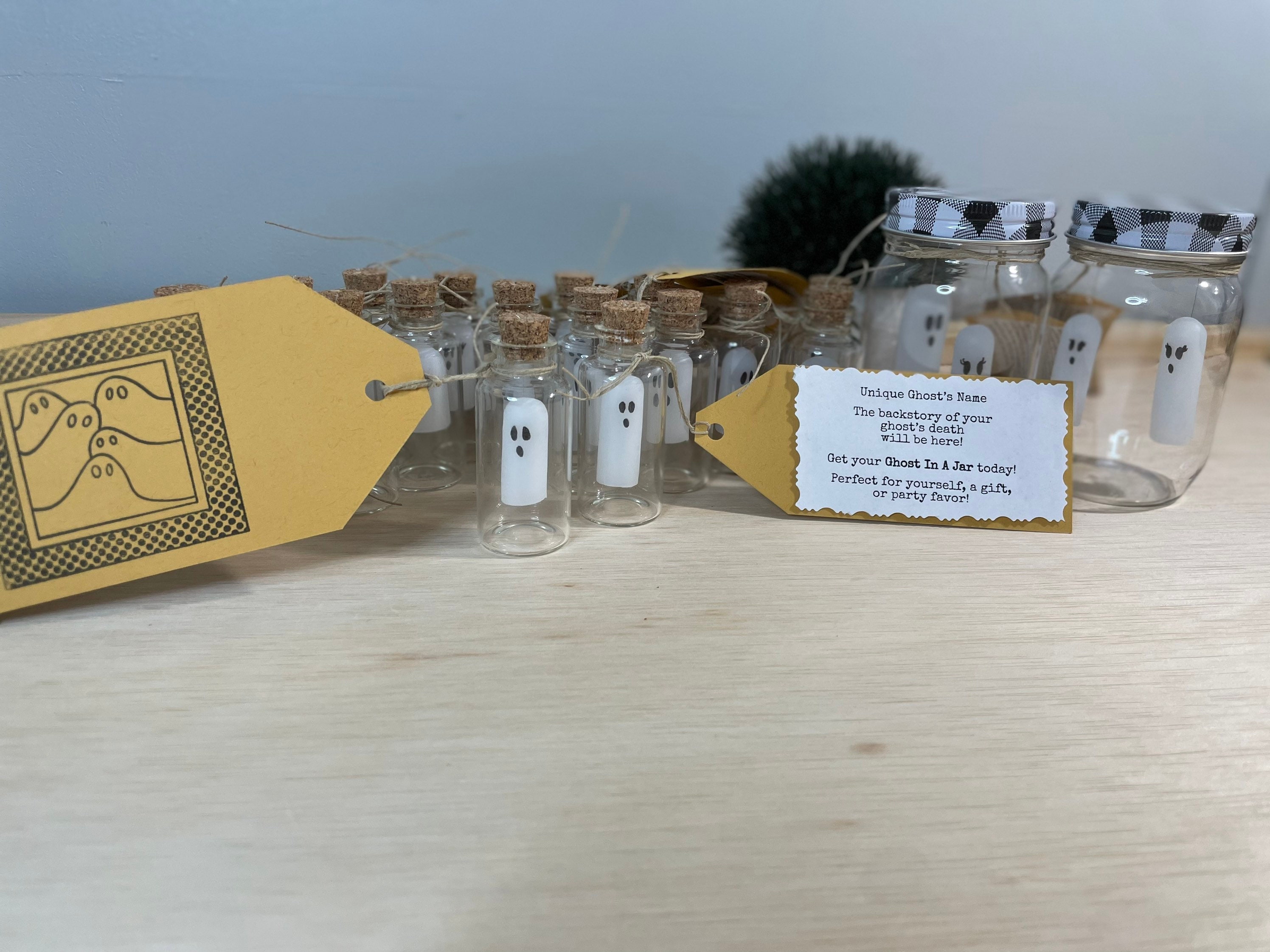 Adopt A Ghost - Name & Backstory Included! Ghost in A Jar | Bottled ...