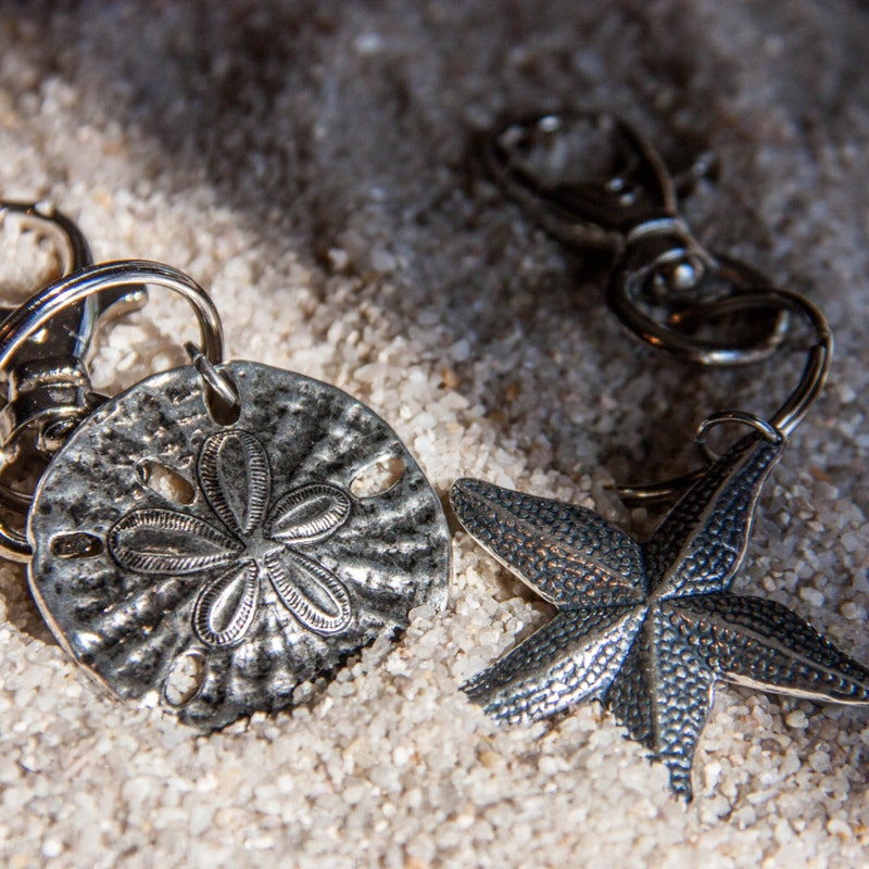 Sand Dollar Starfish - Etsy