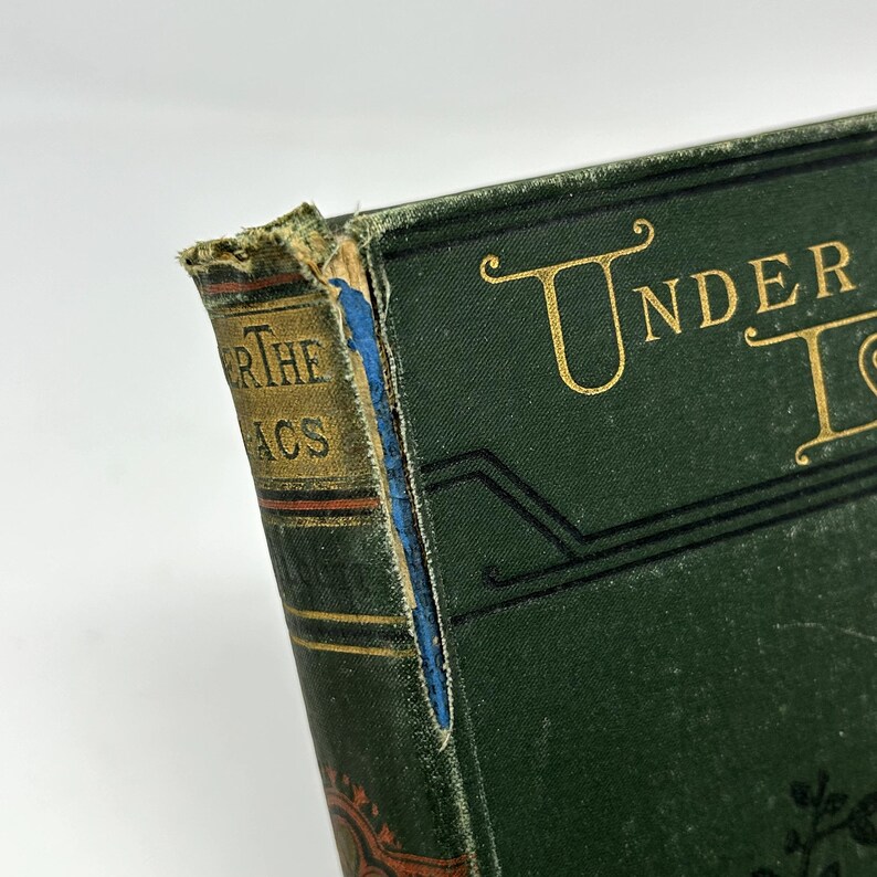 Vintage 1878 under the Lilacs by LM Alcott, Green Book With ...