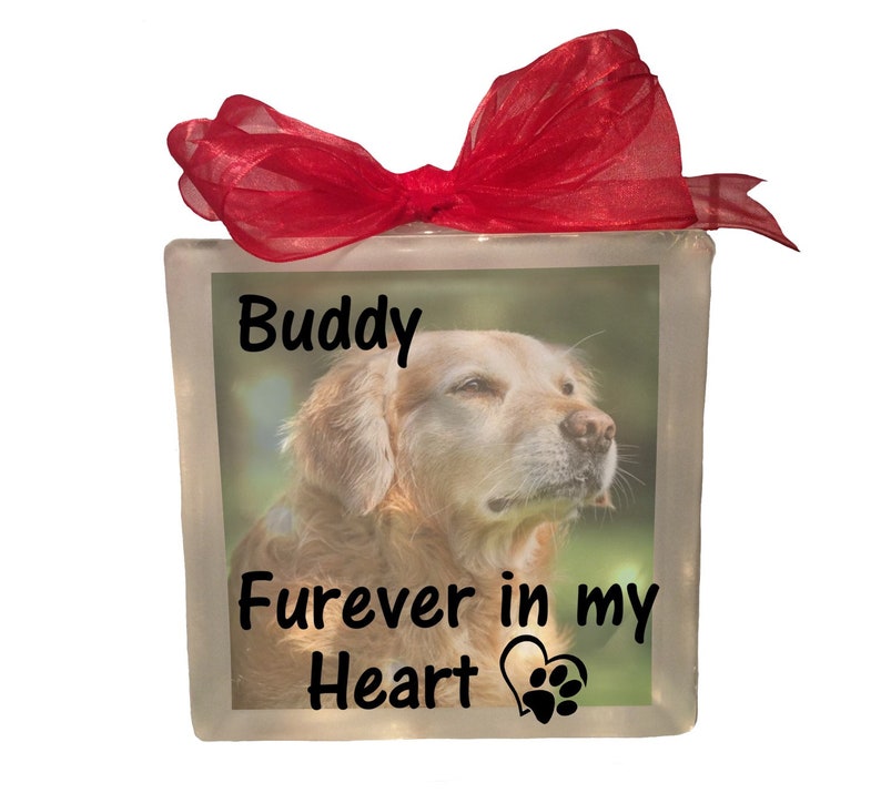 Pet Memorial Glass Light Block Dog Block Sympathy | Etsy