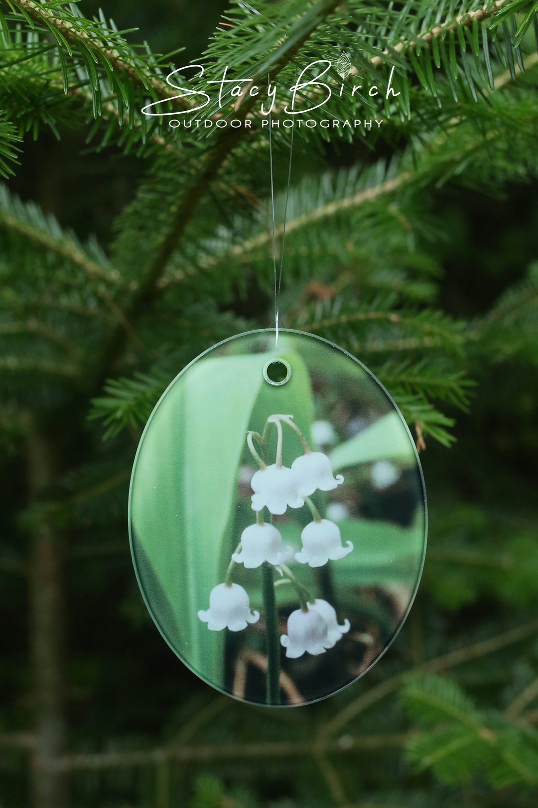 Lily of the Valley Photo Glass Oval Suncatcher W/ Gift Box and Suction ...