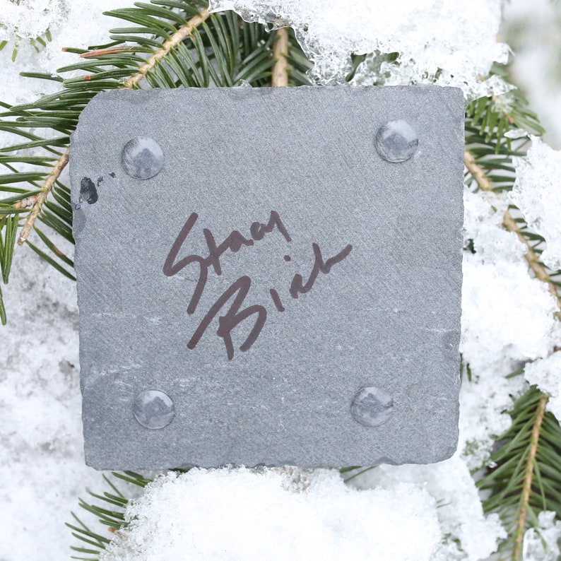 Eastern Painted Turtle 3.5" Square Slate Coaster - Etsy