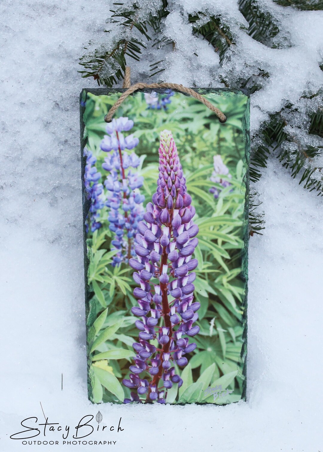 Long Lupine Hanging Slate 5.9 X 11.8 - Etsy