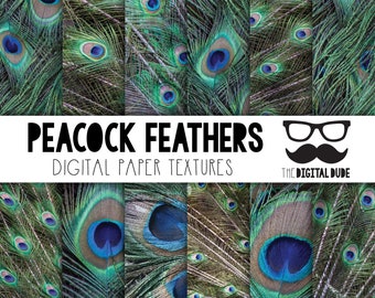 Paper Peacock | Etsy