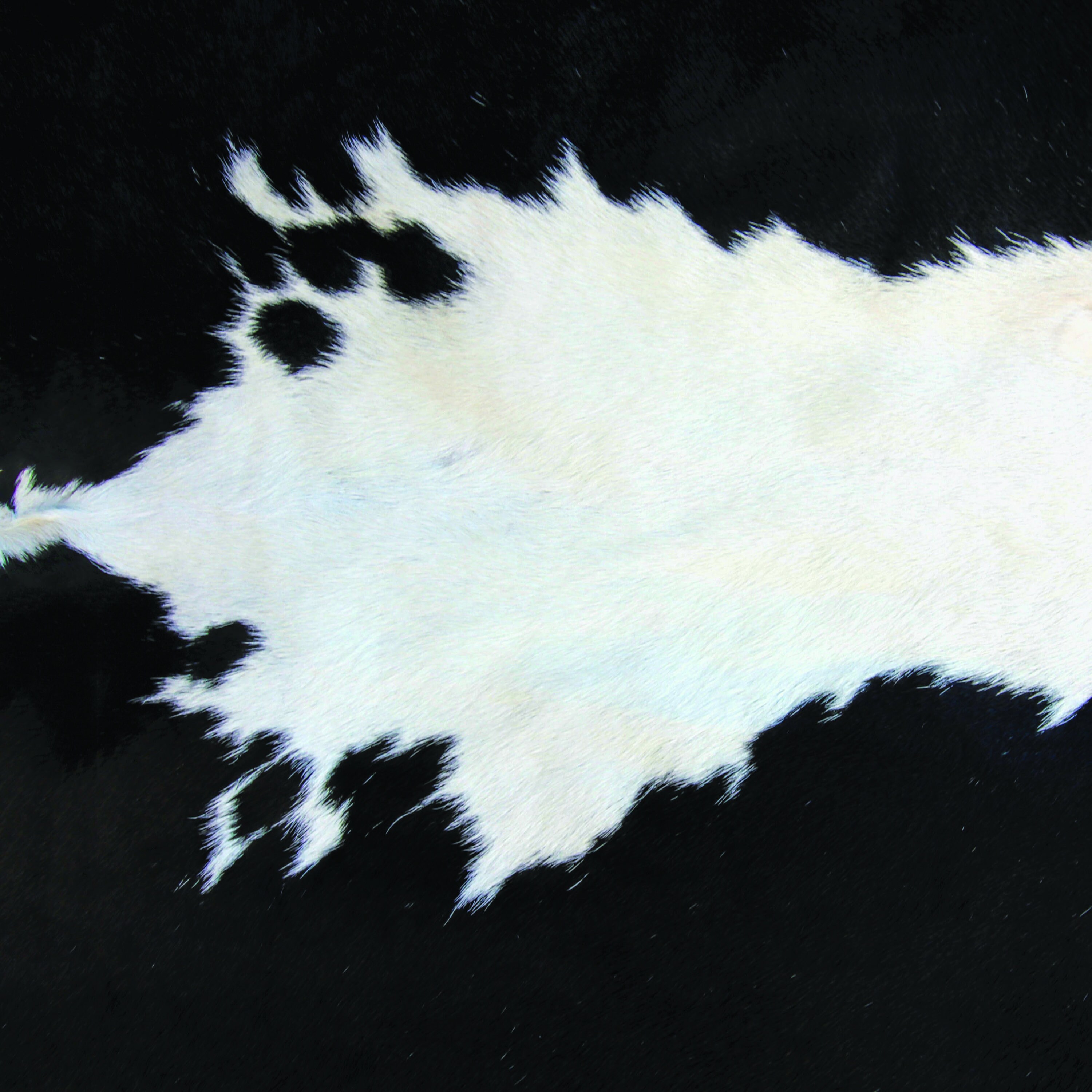 Friesian Cowhide Premium Digital Paper, Printable Scrapbook Paper Set ...