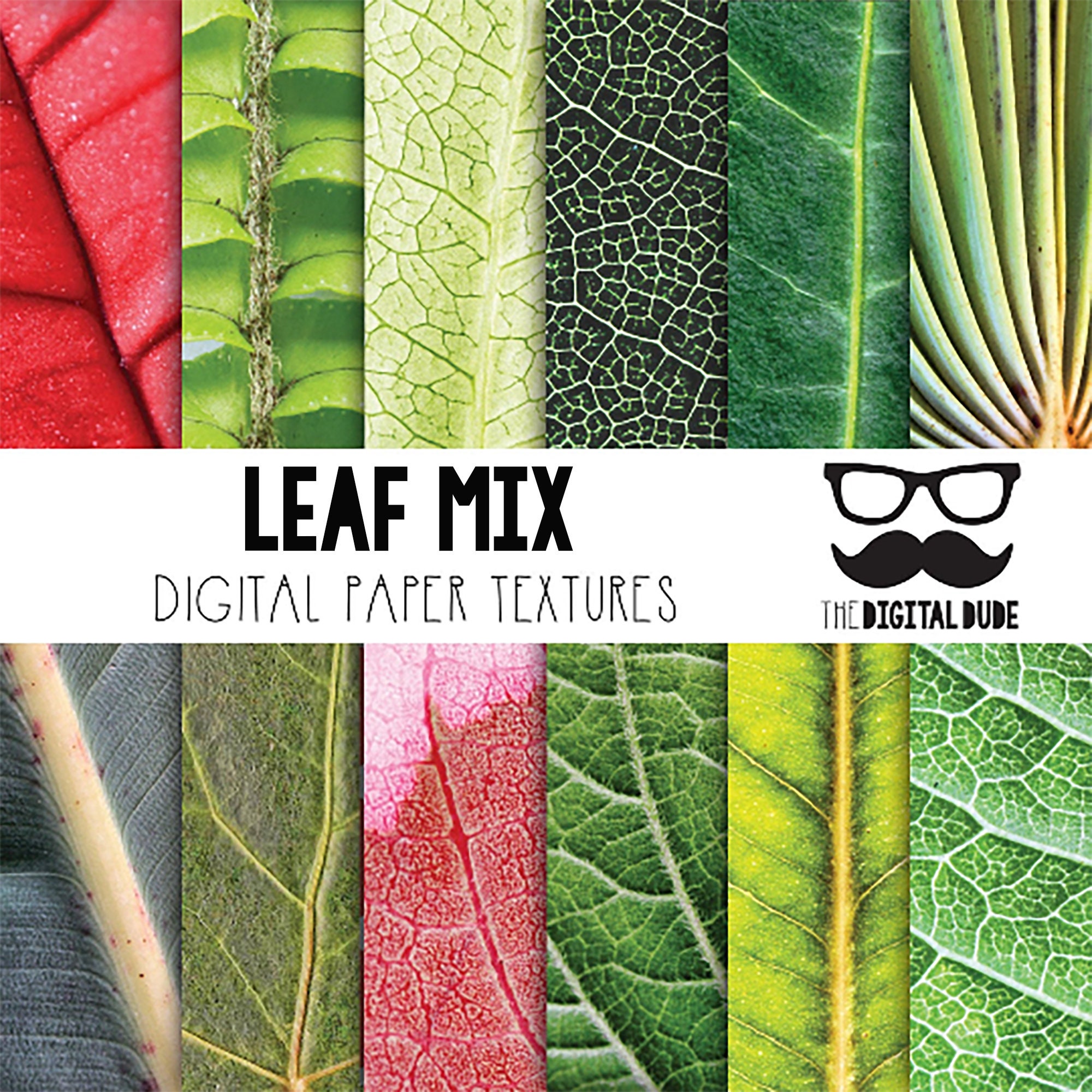 Leaf Mix, Premium Digital Paper, Printable Scrapbook Paper Set, Mixed ...