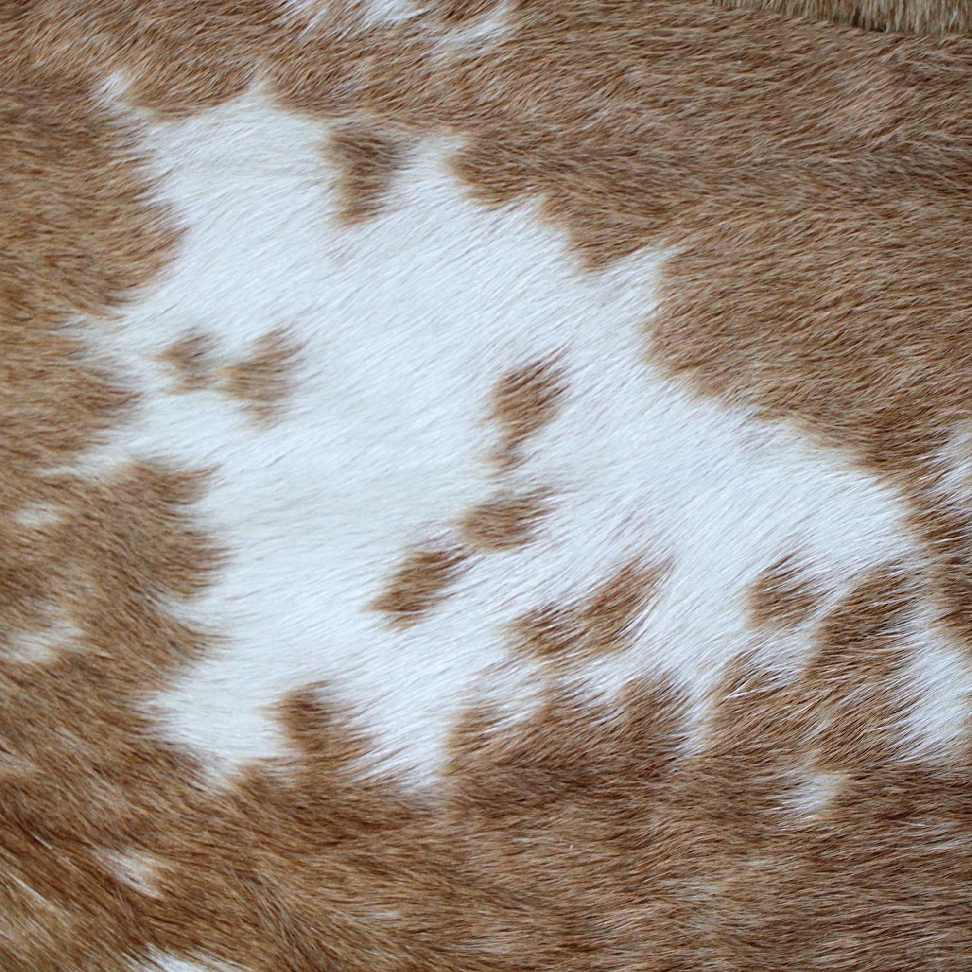 Ayrshire Cowhide Premium Digital Paper Printable Scrapbook - Etsy