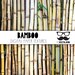 Bamboo, Premium Digital Paper, Printable Scrapbook Paper Set, Bamboo ...
