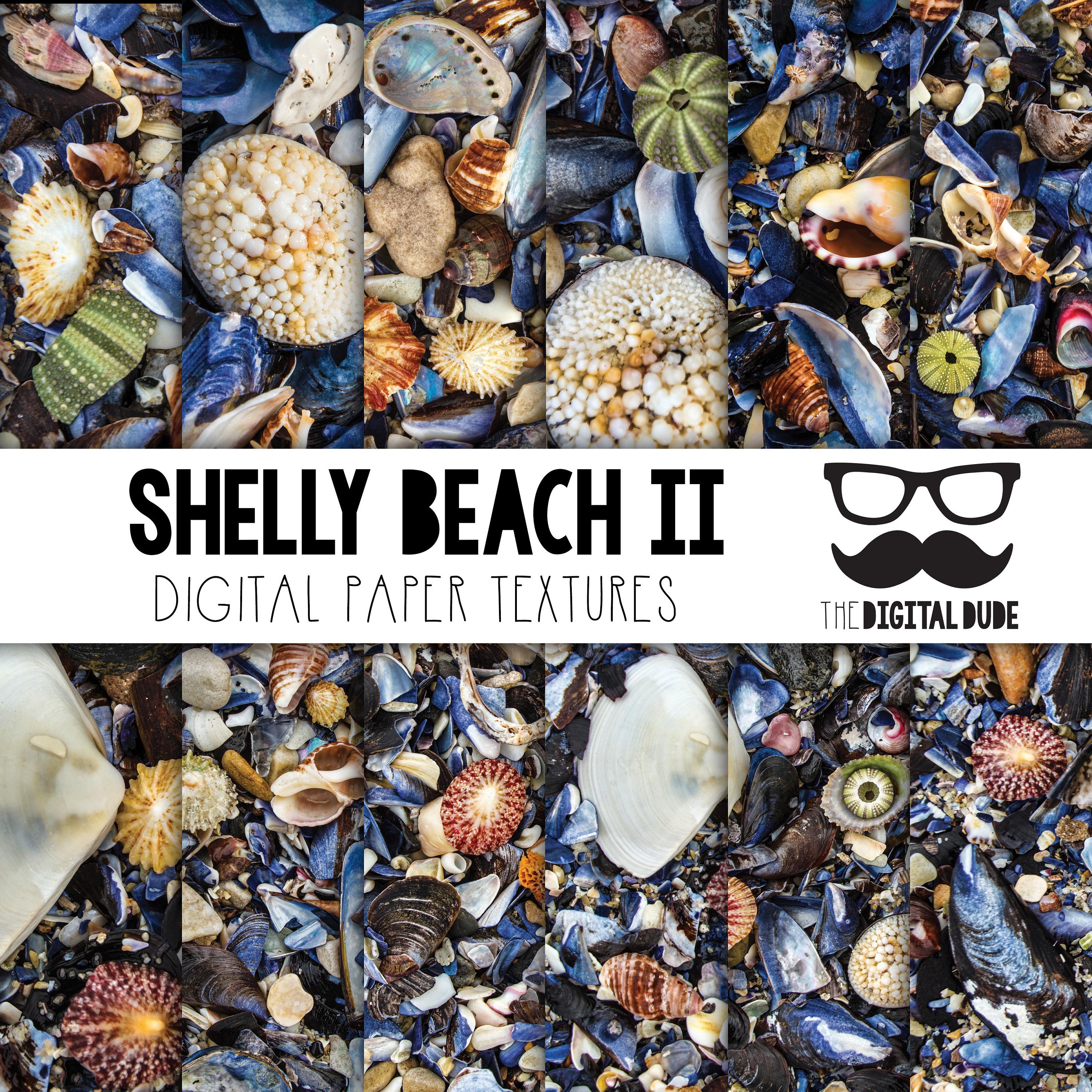 Shelly Beach Premium Digital Paper Printable Scrapbook Paper - Etsy