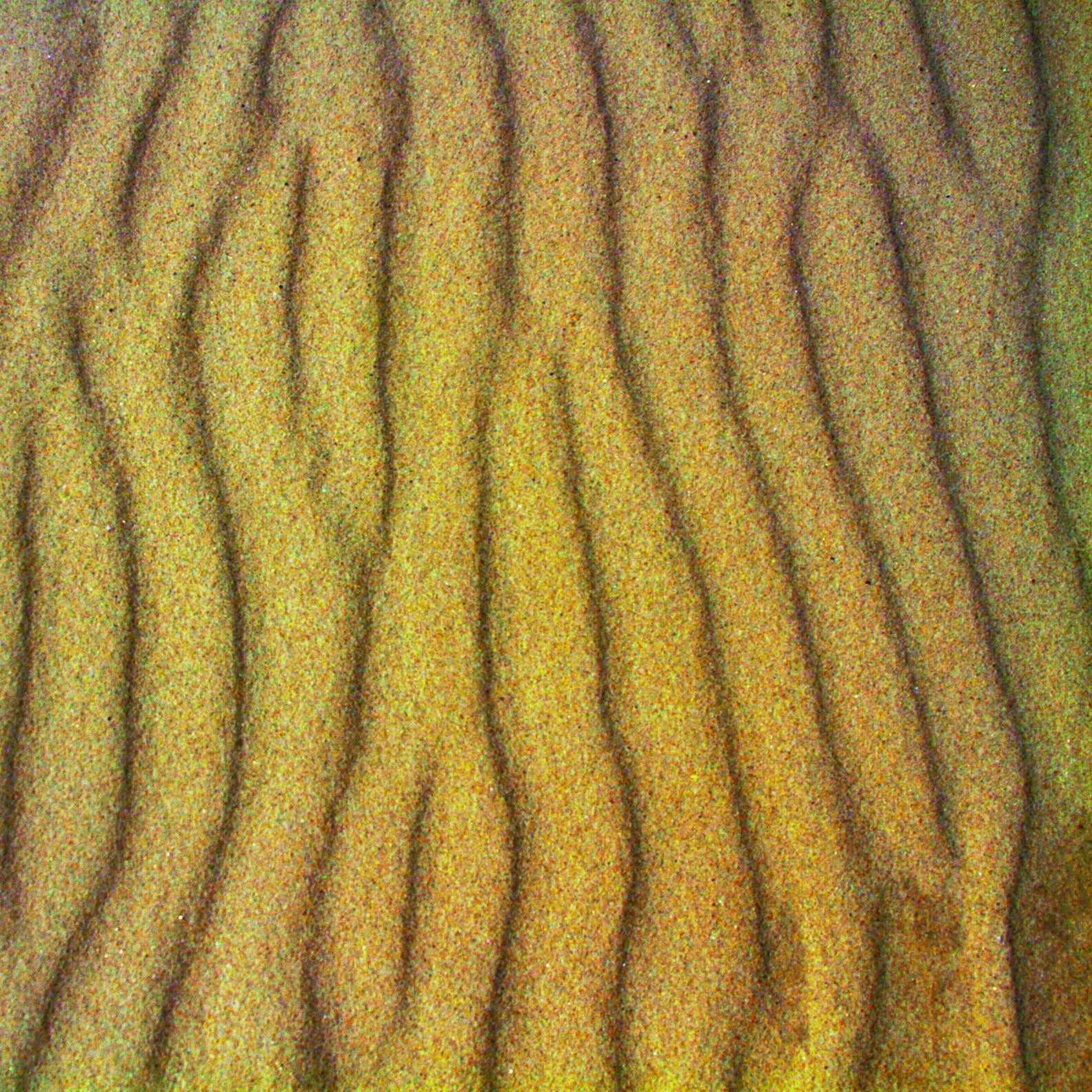 Desert Sands Premium Digital Paper Printable Scrapbook Paper | Etsy