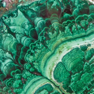 Malachite, Premium Digital Paper, Printable Scrapbook Paper Set ...