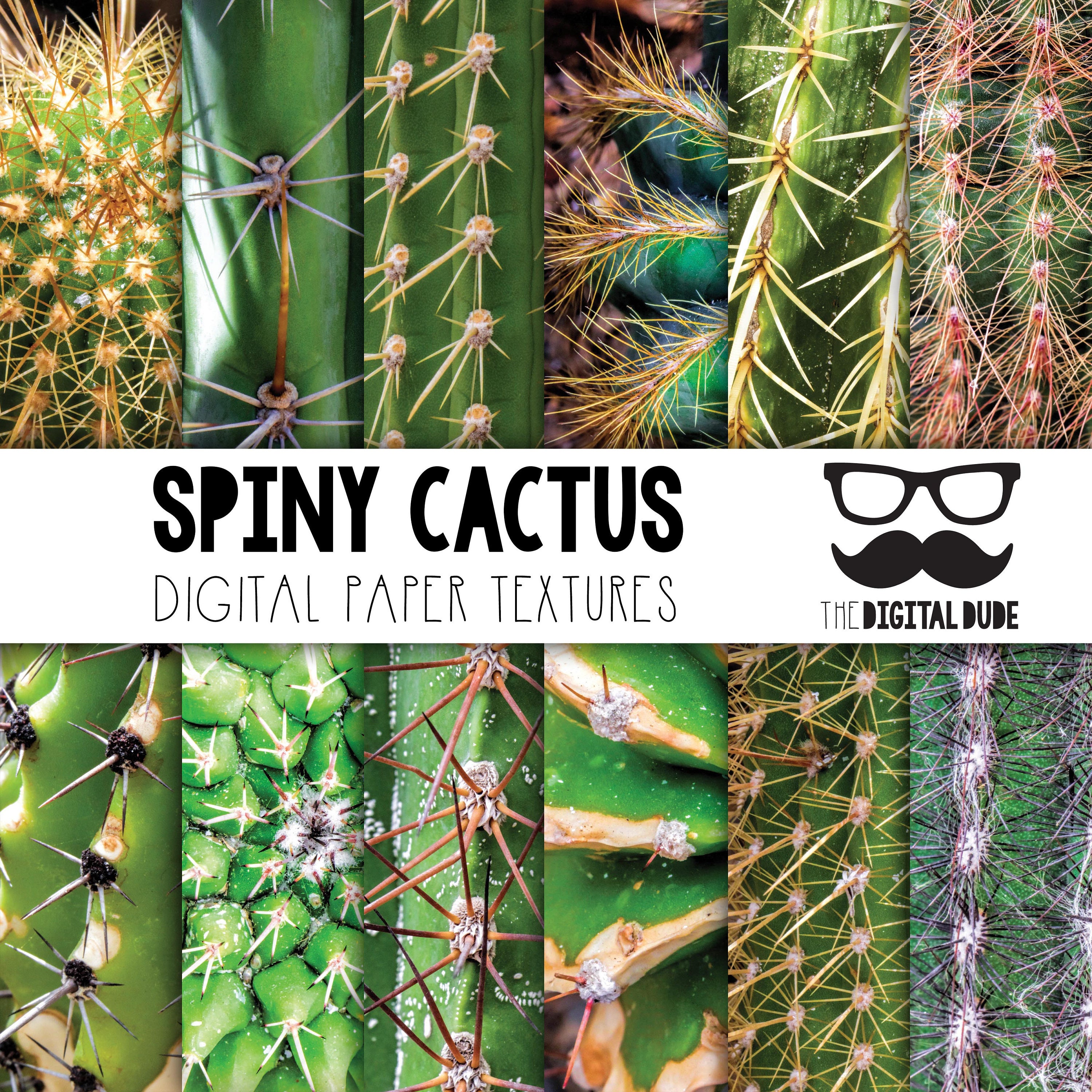 Spiny Cactus, Premium Digital Paper, Printable Scrapbook Paper Set ...