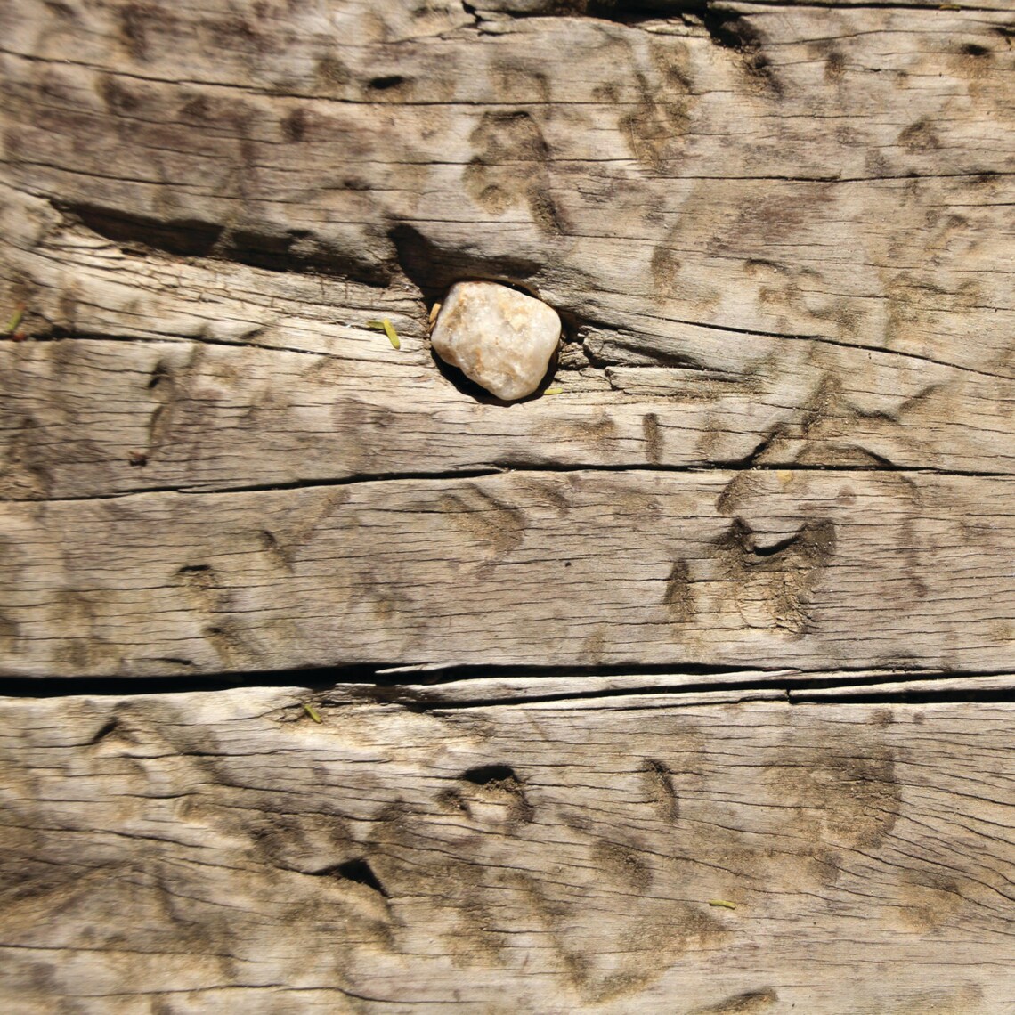 Distressed Timber Printable Scrapbook Paper Set Premium - Etsy
