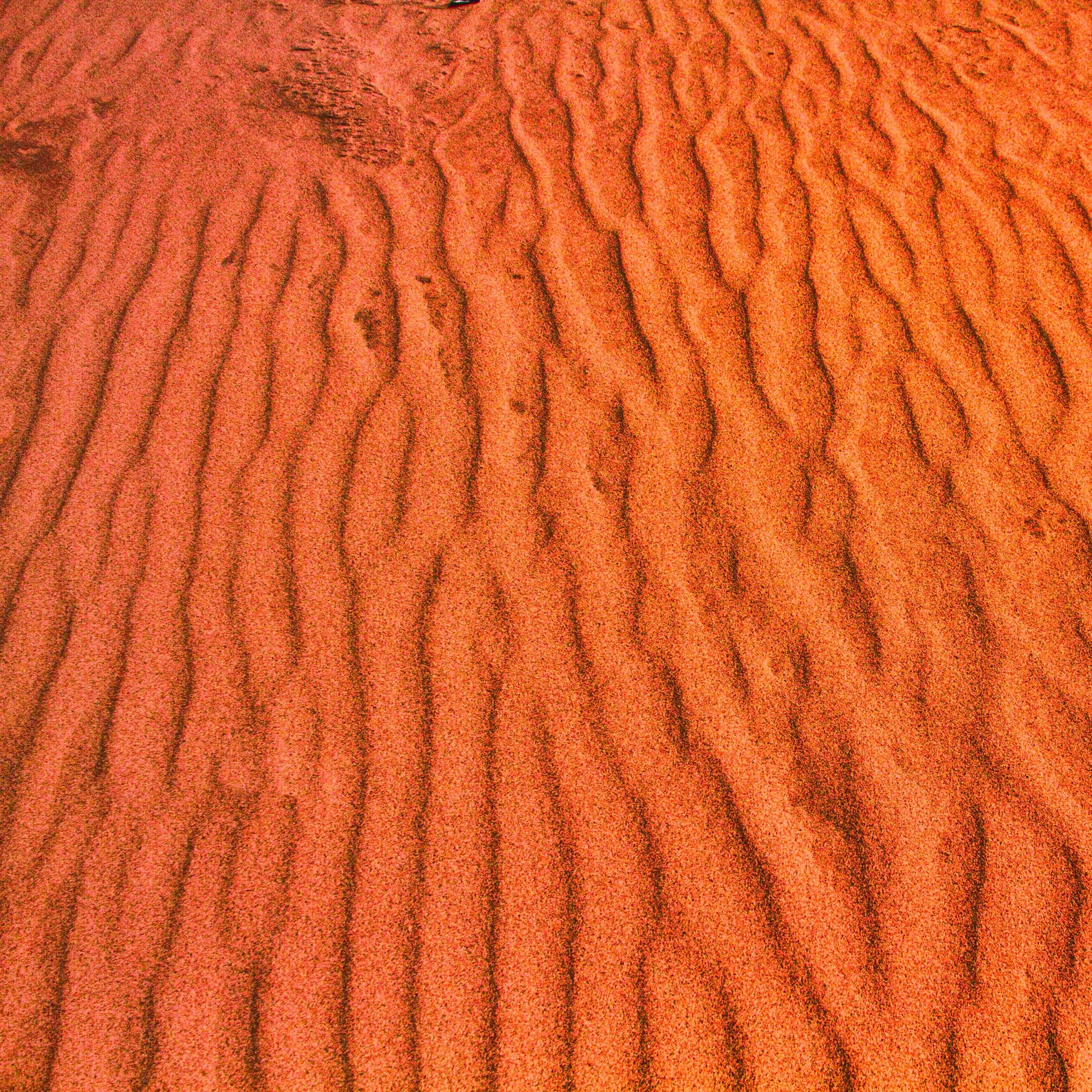 Desert Sands Premium Digital Paper Printable Scrapbook Paper | Etsy