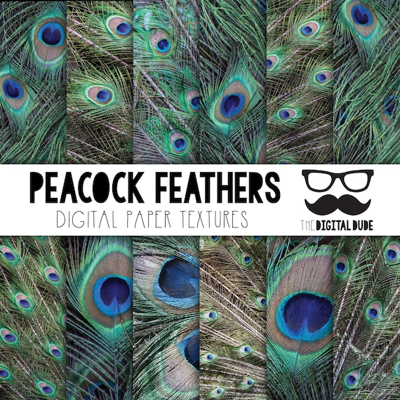 Peacock Feathers Premium Digital Paper Printable Scrapbook | Etsy