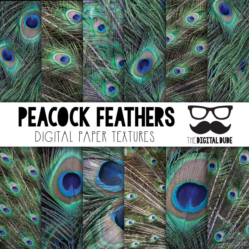 Peacock Feathers, Premium Digital Paper, Printable Scrapbook Paper Set ...