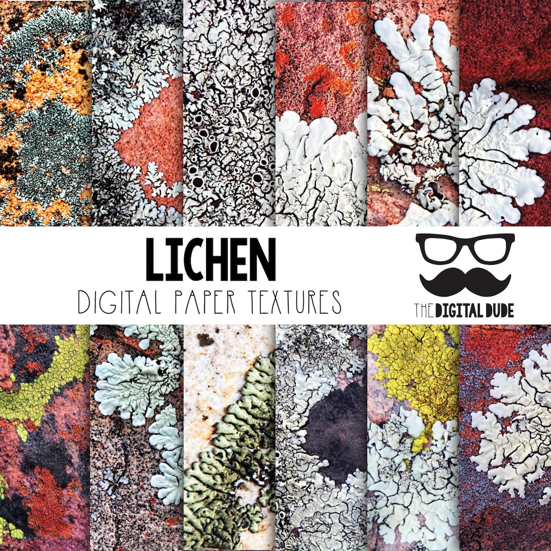 Lichen Texture Digital Paper: Printable Scrapbook Paper (instant ...