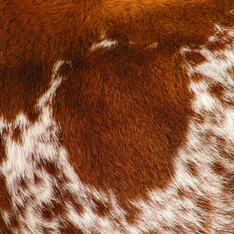 Mixed Animal Hides Premium Digital Paper Printable Scrapbook - Etsy