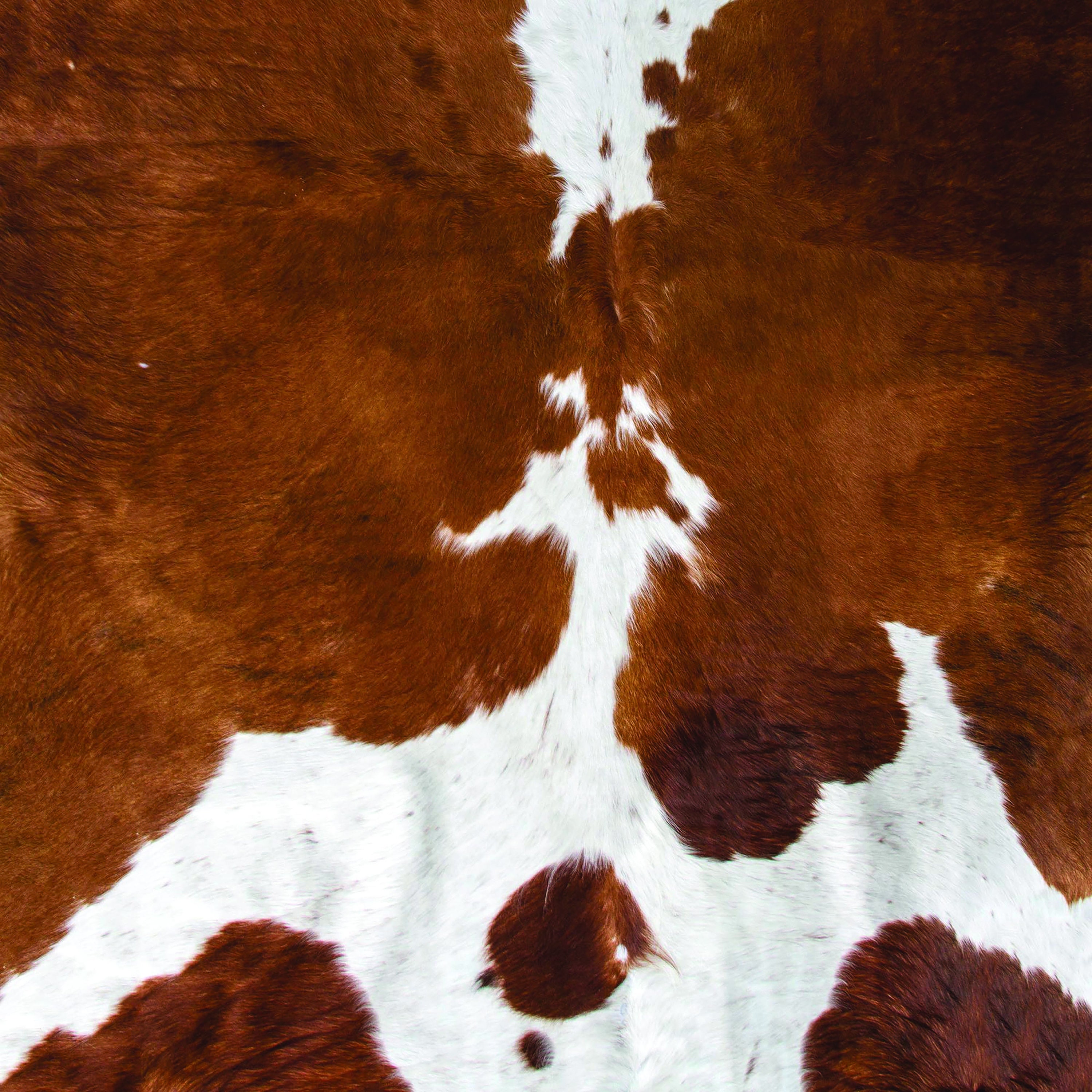 Mixed Animal Hides Premium Digital Paper Printable Scrapbook - Etsy