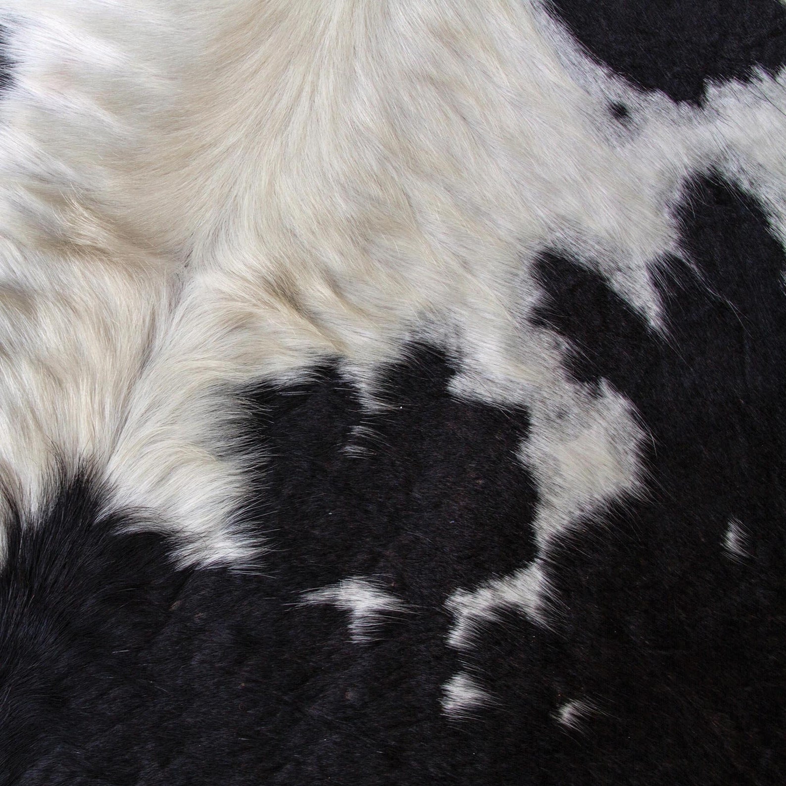 Friesian Cowhide Premium Digital Paper Printable Scrapbook - Etsy