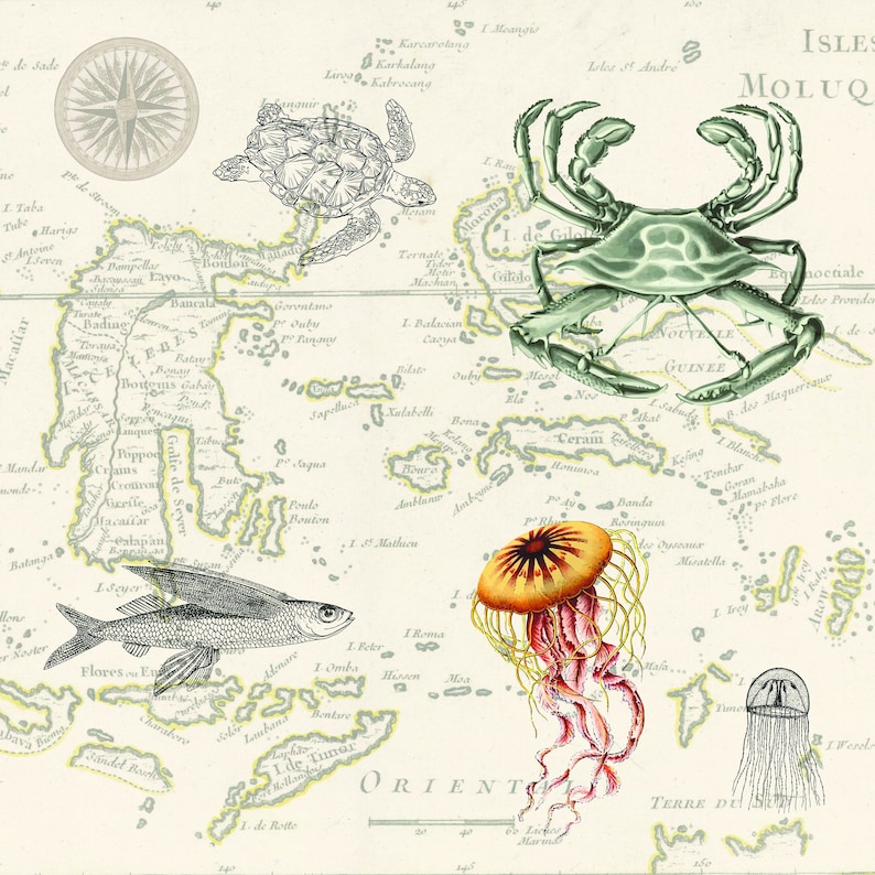 Nautical Maps Digital Paper: Vintage Sea Charts, Scrapbook Paper ...