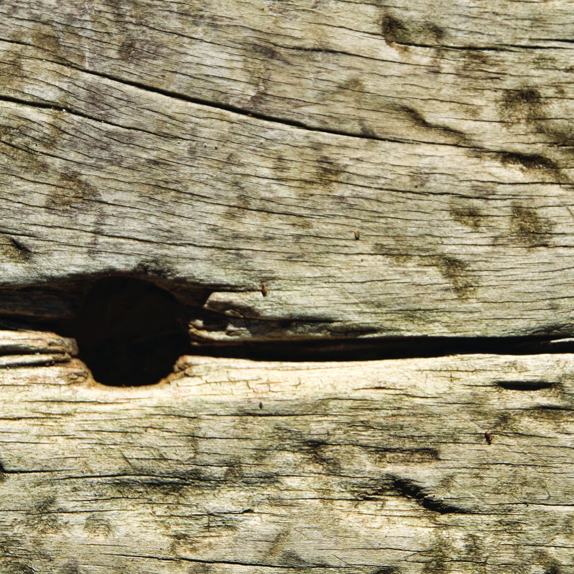 Distressed Timber Printable Scrapbook Paper Set Premium - Etsy