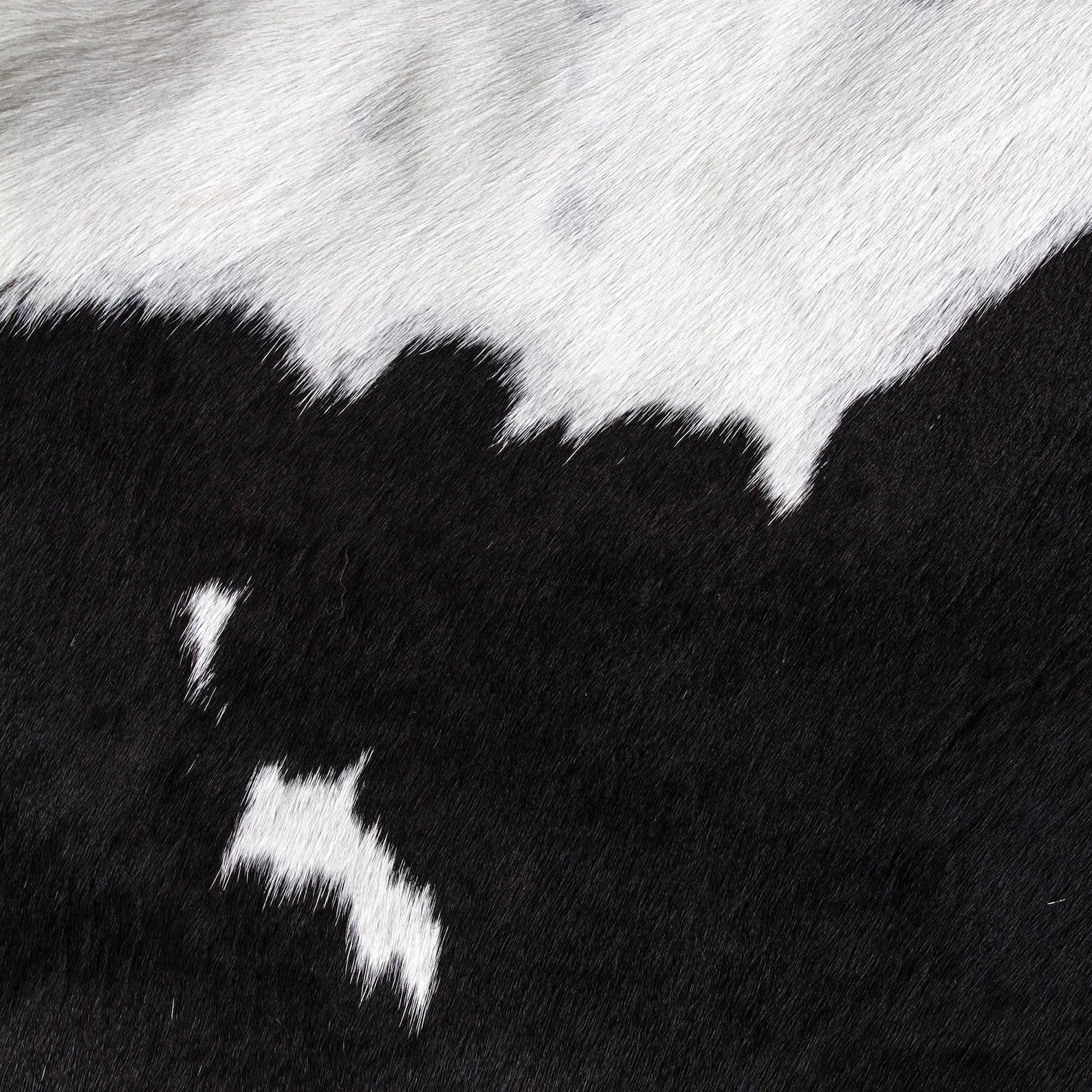 Friesian Cowhide Premium Digital Paper Printable Scrapbook - Etsy