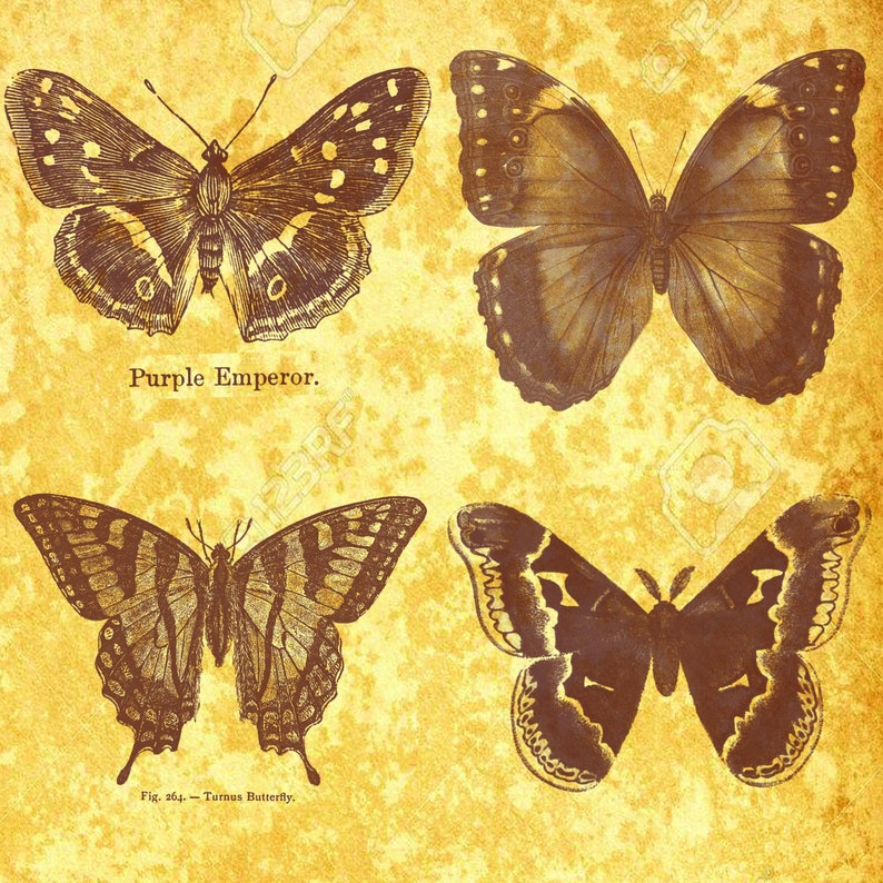 Vintage Butterflies, Premium Digital Paper, Printable Scrapbook Paper ...