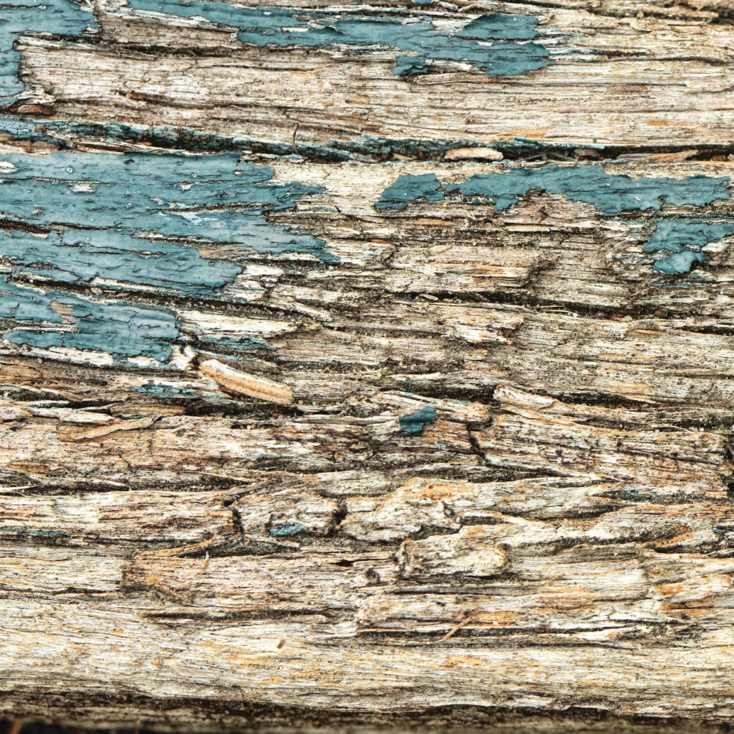 Distressed Wood, Printable Scrapbook Paper Set, Distressed Wood Grain ...