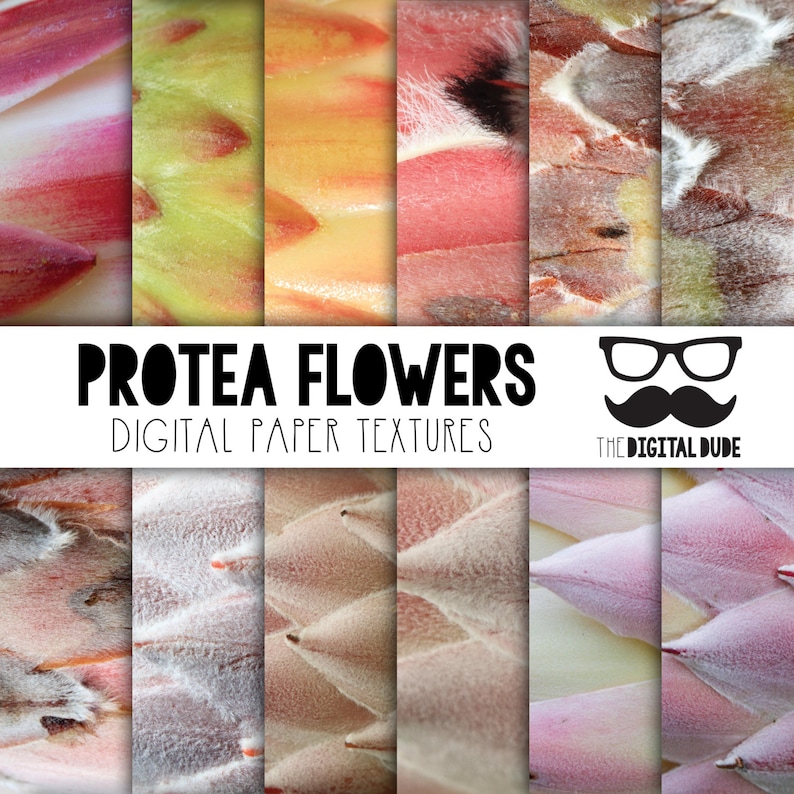 Protea Flowers Premium Digital Paper Printable Scrapbook - Etsy