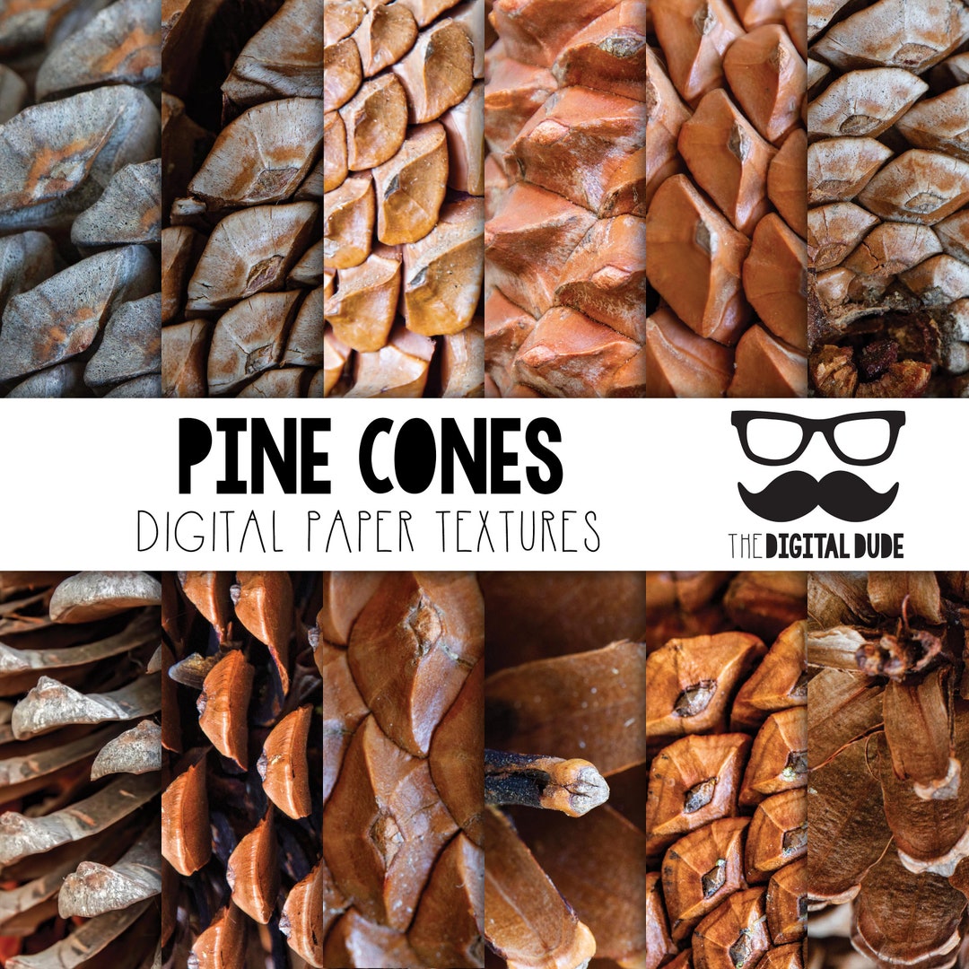Pine Cones, Premium Digital Paper, Printable Scrapbook Paper Set, Pine ...