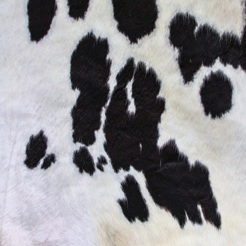Friesian Cowhide Digital Paper: Black & White Animal Print (instant ...
