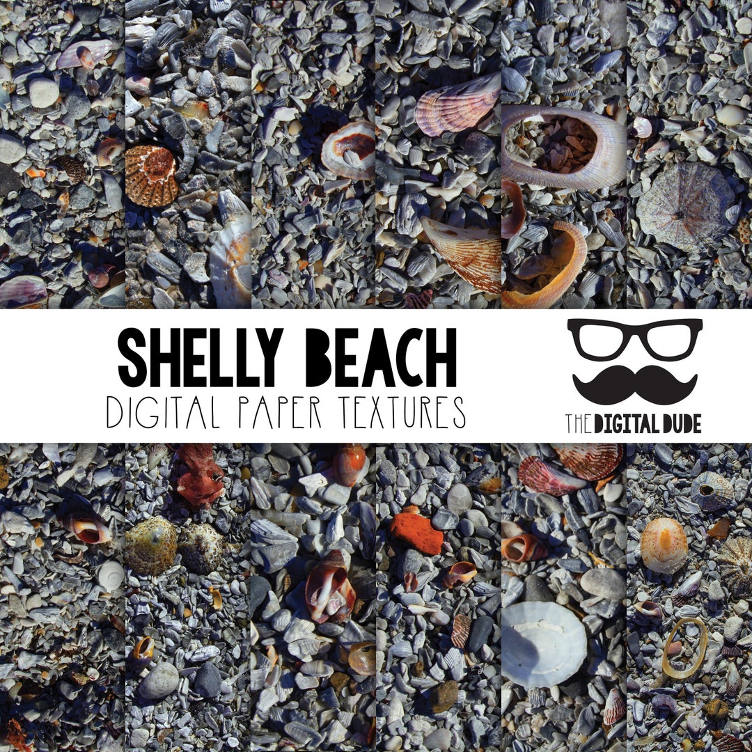Shelly Beach, Premium Digital Paper, Printable Scrapbook Paper Set ...