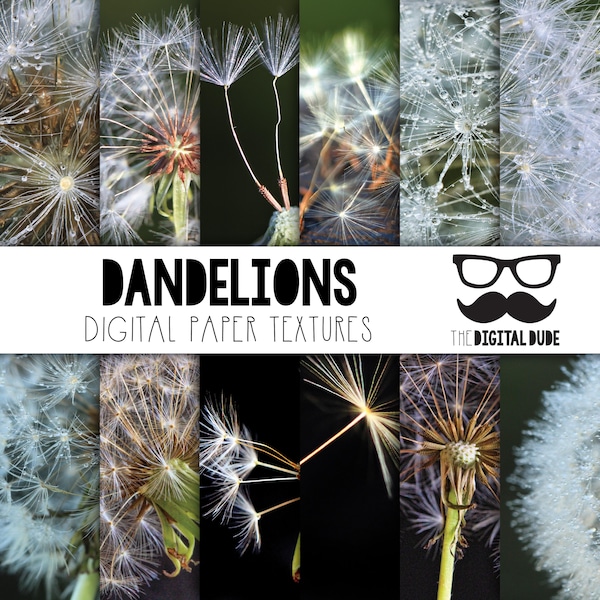 Dandelion Printable Stationery - Etsy