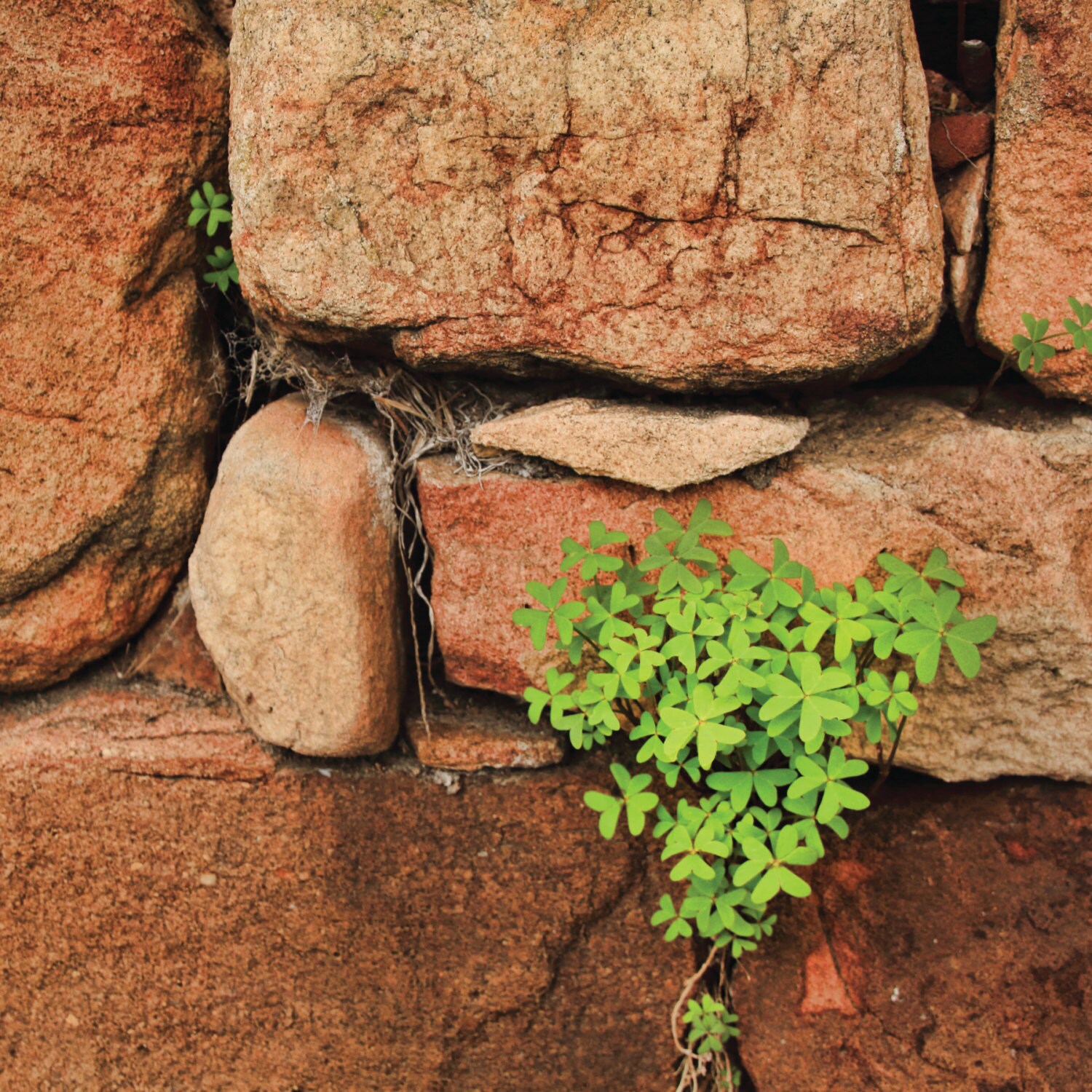 Stone Wall Premium Digital Paper, Printable Scrapbook Paper Set, Stone ...