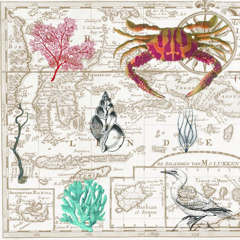 Nautical Maps Digital Paper: Vintage Sea Charts, Scrapbook Paper ...