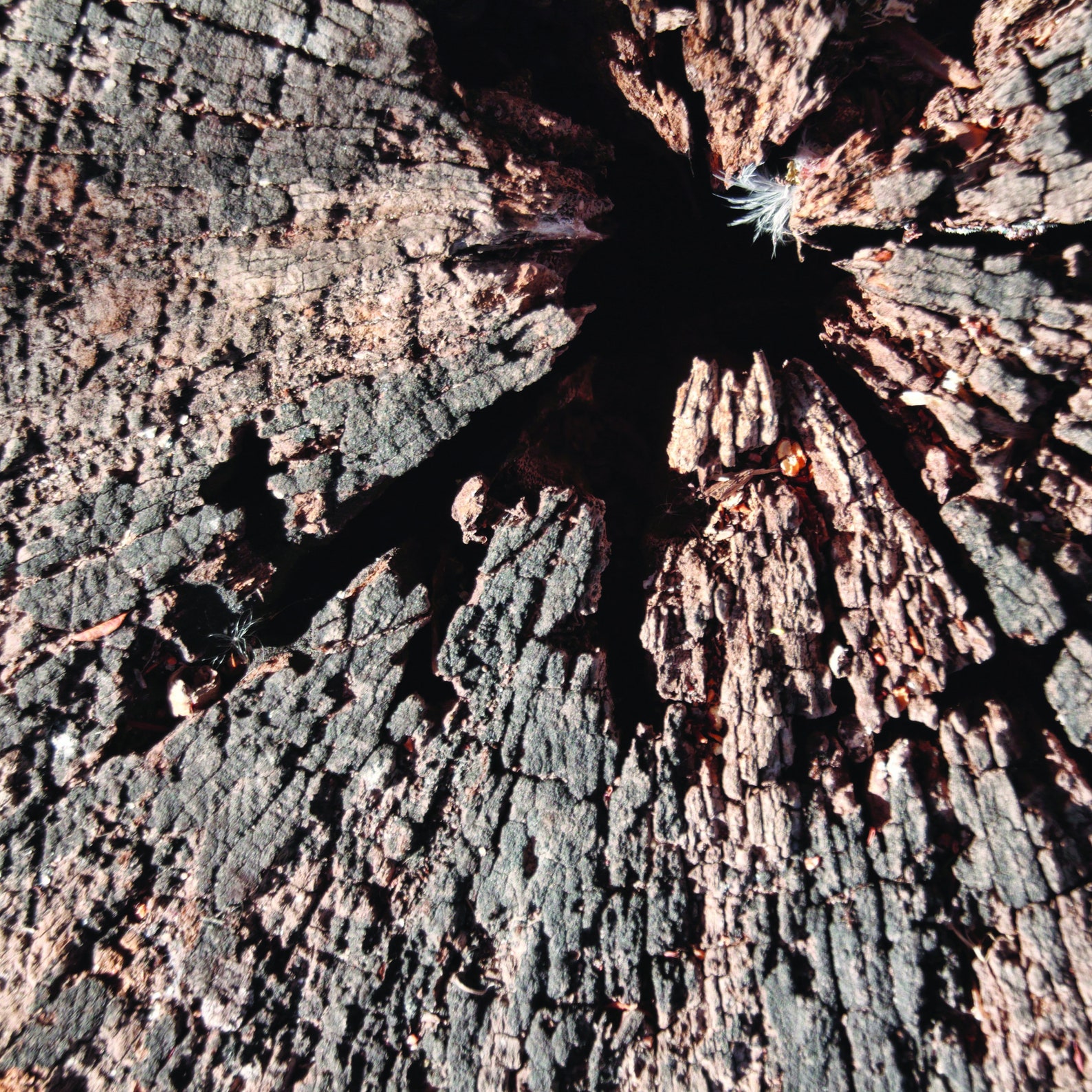 Distressed Timber, Printable Scrapbook Paper Set, Premium Digital Paper ...