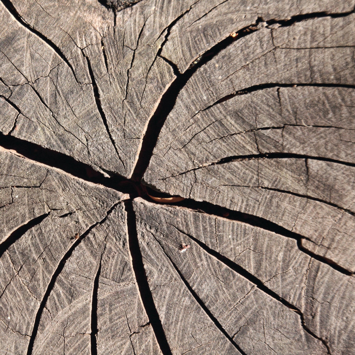 Distressed Timber Printable Scrapbook Paper Set Premium - Etsy