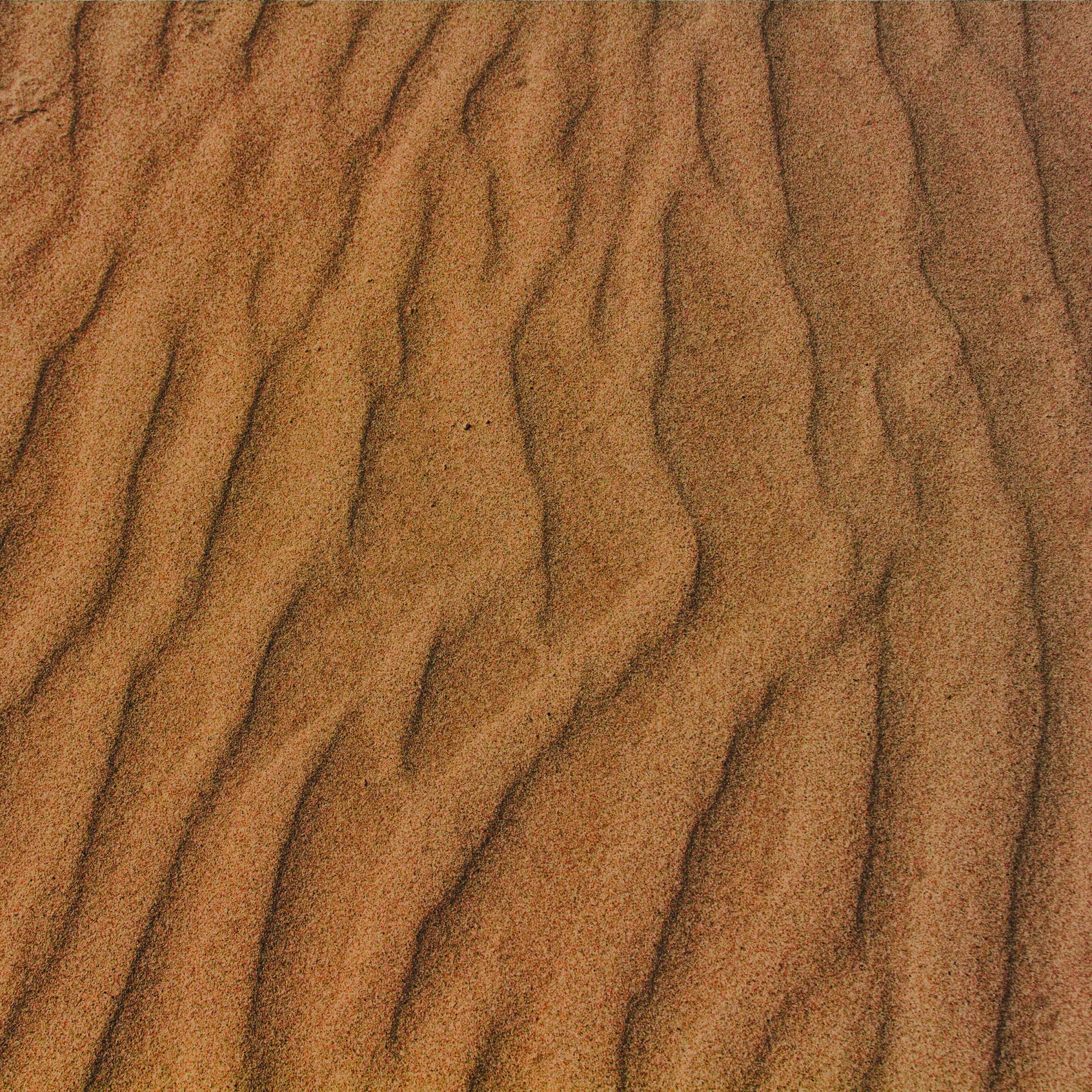 Desert Sands, Premium Digital Paper, Printable Scrapbook Paper Set ...