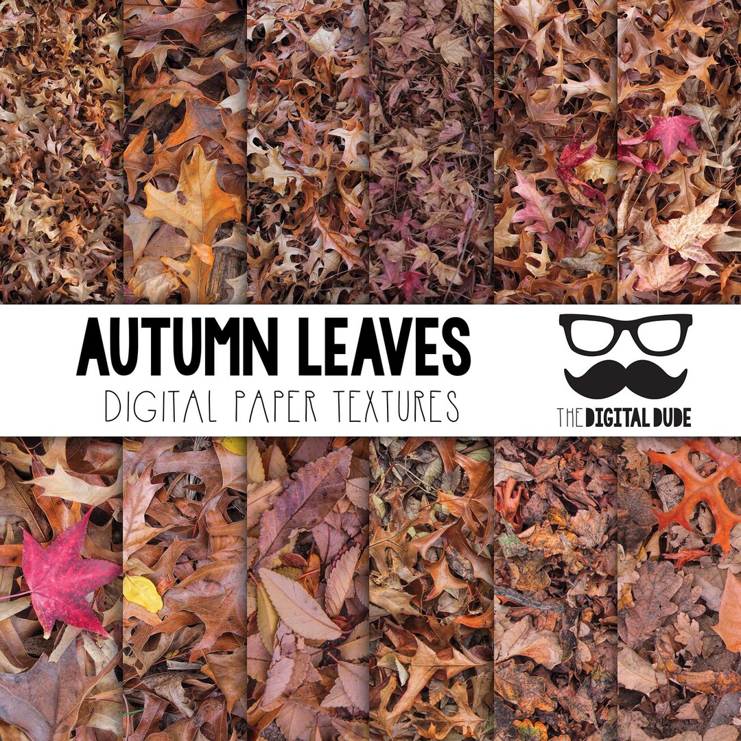 Autumn Leaves, Fall Leaves Premium Digital Paper, Printable Scrapbook ...