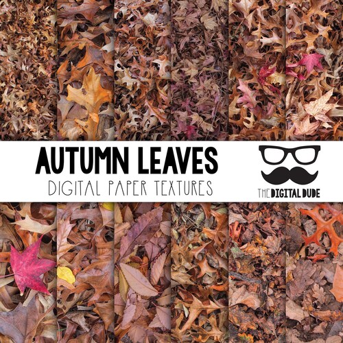 Forest Digital Papers Autumn Leaves Fall Scrapbooking Paper - Etsy